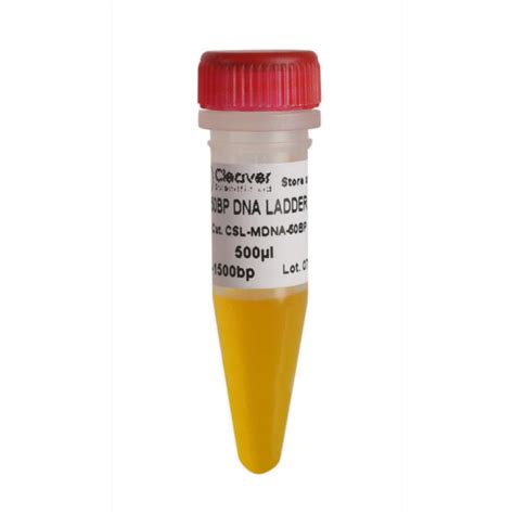 Bp DNA Ladder Bp Thistle Scientific