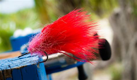 Sunday Classic Bruce Chards Palolo Worm Fly Fishing Gink And