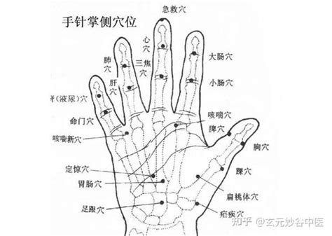 秋冬养阴、春夏养阳 知乎