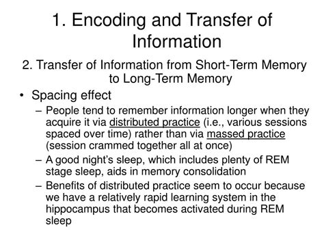 Ppt Memory Processes Powerpoint Presentation Free Download Id1183832
