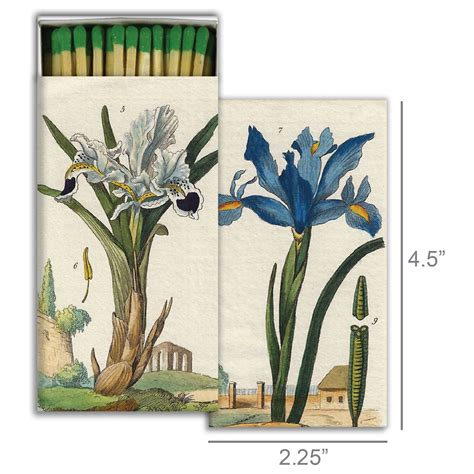 Matches Iris