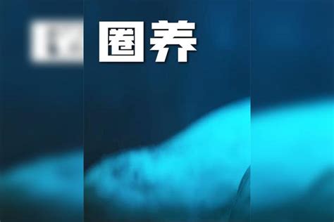 孢子控制人类？男孩长大突然发现家人竟全都想害他，恶魔恐怖片。 电影剪辑 精彩片段 电影解说 圈养电影圈养恶魔