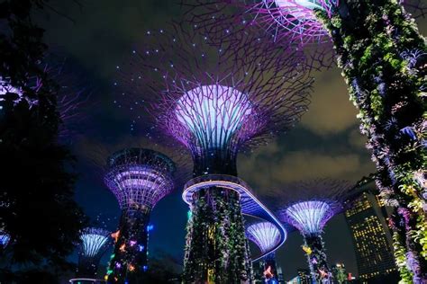 cosas qué hacer y qué ver en Singapur MAPA