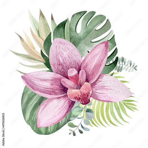 Watercolor Tropical Flowers Bouquet Of Tropical Plants And Flowers Of