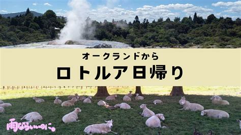 Nzのコンセントの形状、電圧｜おすすめ変換プラグ・変圧器 雨ならいいのに。