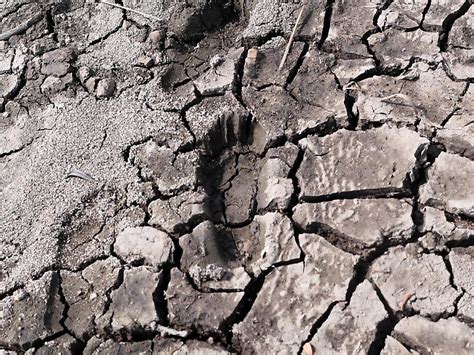 WWF Schweiz überschreitet ökologischen Fussabdruck SWI swissinfo ch