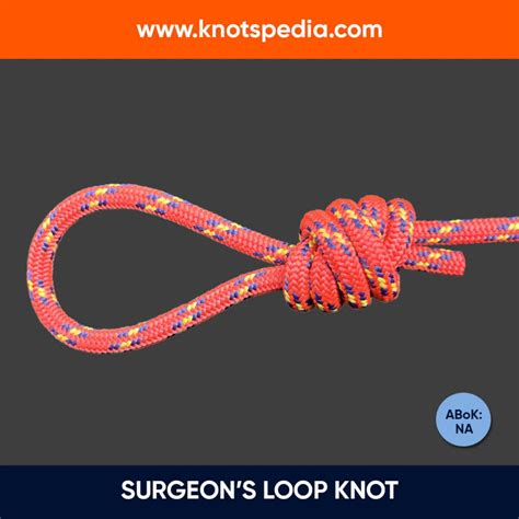 How To Tie Double Dragon Loop The Ultimate End Loop Knot