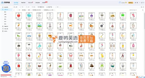 美国最经典raz全套分级阅读绘本资源119g！包含配套绘本pdf视频音频mp3练习册高频单词，附peggy老师中文讲解课，百度网盘下载