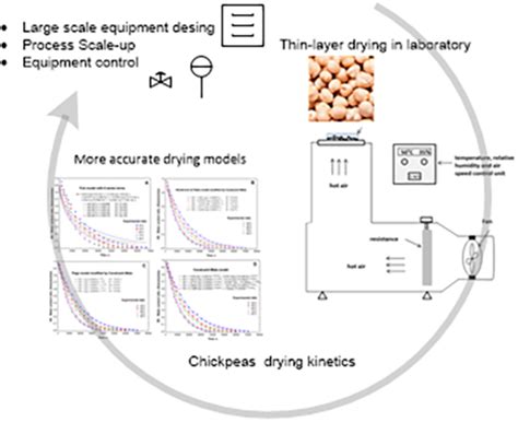 A New Approach To The Traditional Drying Models For The Thin‐layer Drying Kinetics Of Chickpeas