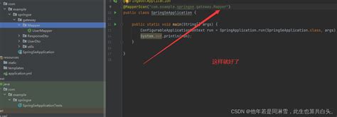 springboot整合mybatis的时候报错 positive matches csdn博客
