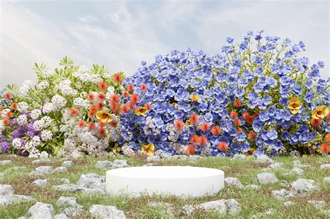 Abstact 3d 렌더링 봄 장면 및 자연 연단 배경 잔디밭의 흰 돌 연단과 바위 그룹 제품 디스플레이 광고 화장품 등을 위한