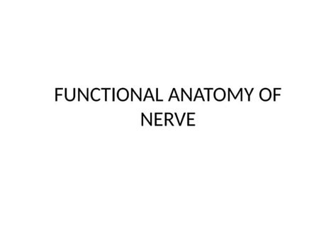 Functional Anatomy Of Nerve Cell Peripheral Nerve Classificationpptx