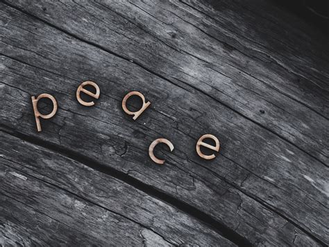 Pepce라는 단어의 철자가있는 나무 조각 사진 Unsplash의 무료 회색 이미지