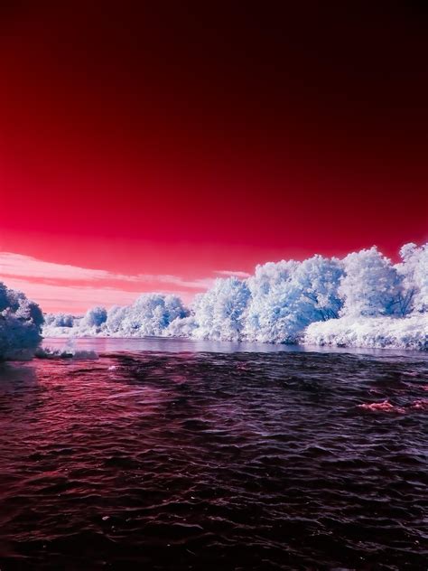 Best Full Spectrum Images On Pholder Treedibles Infrared Porn And Rosin