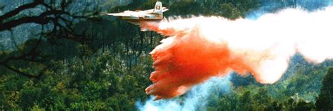 Disminuyen Los Incendios Forestales En 2020 Airfeu