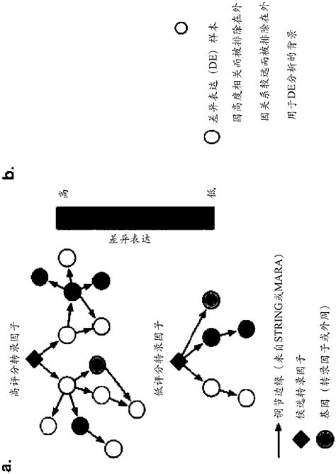 Cell Reprogramming Eureka Patsnap