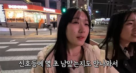 한국 신호등 보고 신기해하는 일본인들 유머 움짤 이슈 에펨코리아