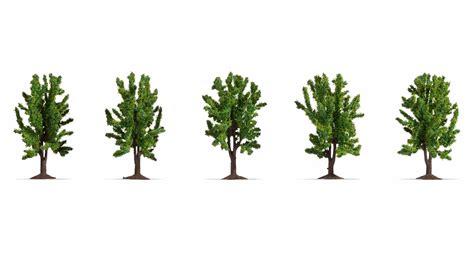 N25620 Noch Deciduous Trees 5