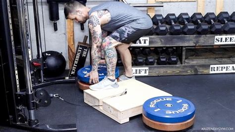 Belt Squat Platform Squat Machine Diy Gym Diy Home Gym