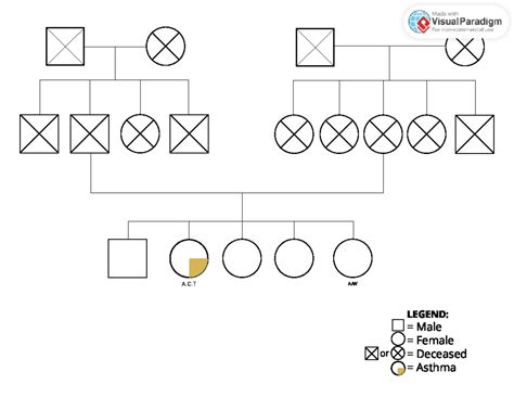 Genogram With Health Issue Medical Surgical Nursing Made With