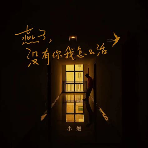 燕子 没有你我怎么活小炮高音质在线试听燕子 没有你我怎么活歌词歌曲下载酷狗音乐