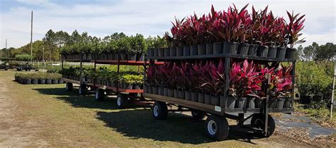 Three Volcanoes Farm