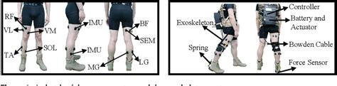 Figure 1 From Online Adaptive Prediction Of Human Motion Intention Based On Semg Semantic Scholar