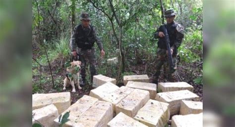 Secuestraron Más De 730 Kilos De Marihuana El Diario Del Centro Del País