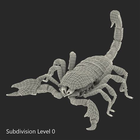 Scorpion truqué pour Maya modèle 3D $99 - .ma - Free3D