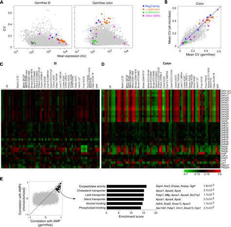 Mining The Human Gut Microbiota For Immunomodulatory Organisms Cell