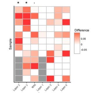 Heatmap Showing The Enrichment Of Layer Specific Differentially