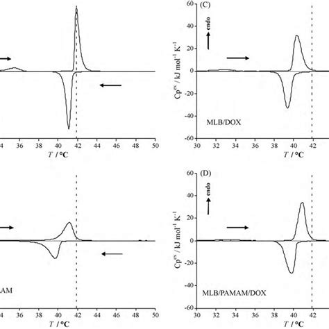Dsc Thermograms Second Heating Cooling Cycle Of Pure Liposomes A