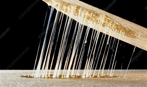 Glue Between Two Pieces Of Wood Stock Image T7400066 Science Photo Library