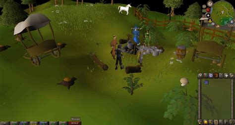 Lost City Osrs Guide Rune Fanatics