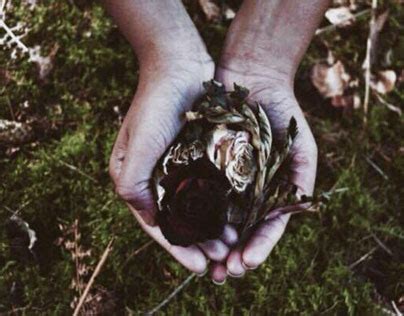 EPQ Projects Photos Videos Logos Illustrations And Branding On Behance