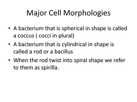 SOLUTION Bacterial Cell Structure Studypool