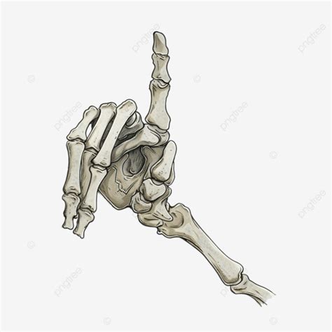 가리키는 손가락 그림에 도달하는 해골 손 손가락으로 가리키는 제스처 그림 집게 손가락 Png 일러스트 및 이미지 에 대한 무료 다운로드 Pngtree