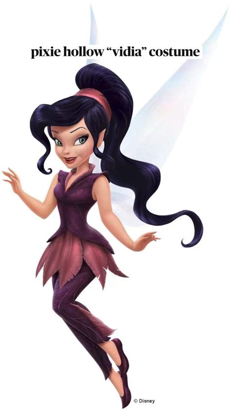 Pixie Hollow “vidia” Costume Halloween Costume Halloween Fairy