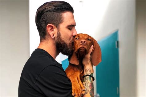 25 indispensables pour préparer larrivée de son chiot