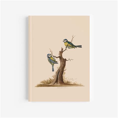 Blue Tits Journal Notebook A4 Plain Ruled Paper