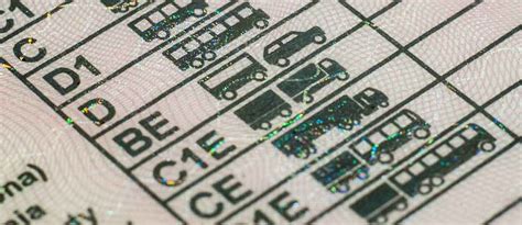 Different Types Of Driving Licences In The Uae Dubizzle