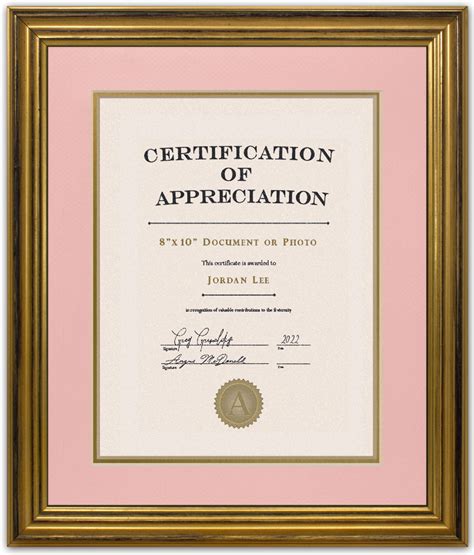 Pink And Gold Recognition Document Frame 8x10 Gold Frame