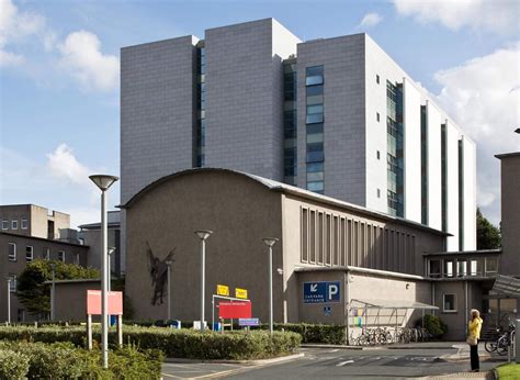 St Vincents University Hospital Nutley Ward Healing Scott Tallon