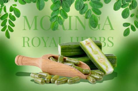 Королевская аптека Моринга Пхукет - какие лекарства продают, описание ...