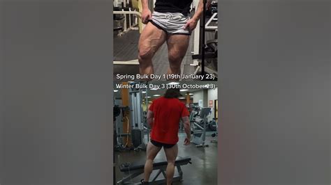Sam Sulek Bulk Vs Cut Quads Edition Youtube