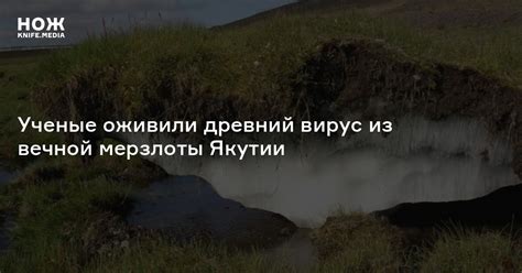 Ученые оживили древний вирус из вечной мерзлоты Якутии — Нож