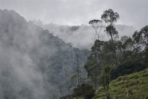 Estos son los retos en materia de medioambiente que enfrentará Colombia