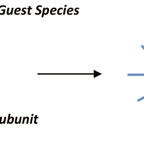 General Approach For Designing Of Chemosensor Based On The Download Scientific Diagram