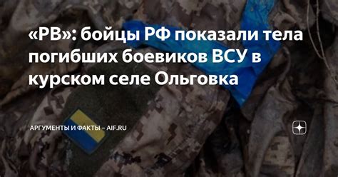 «РВ бойцы РФ показали тела погибших боевиков ВСУ в курском селе Ольговка Аргументы и факты