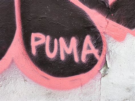 Xiaomi Mi Pro G Review Pcmag